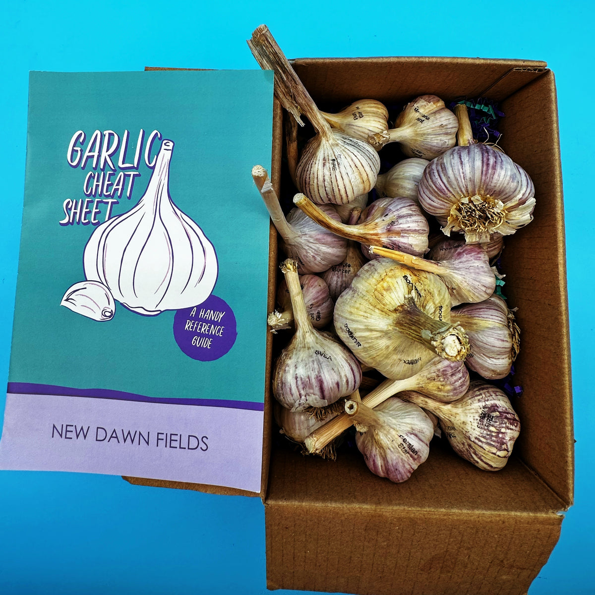 Garlic Variety Pack – New Dawn Fields